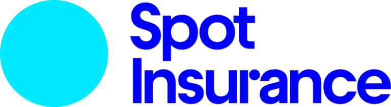 Portfolio | Investments - Silverton Partners